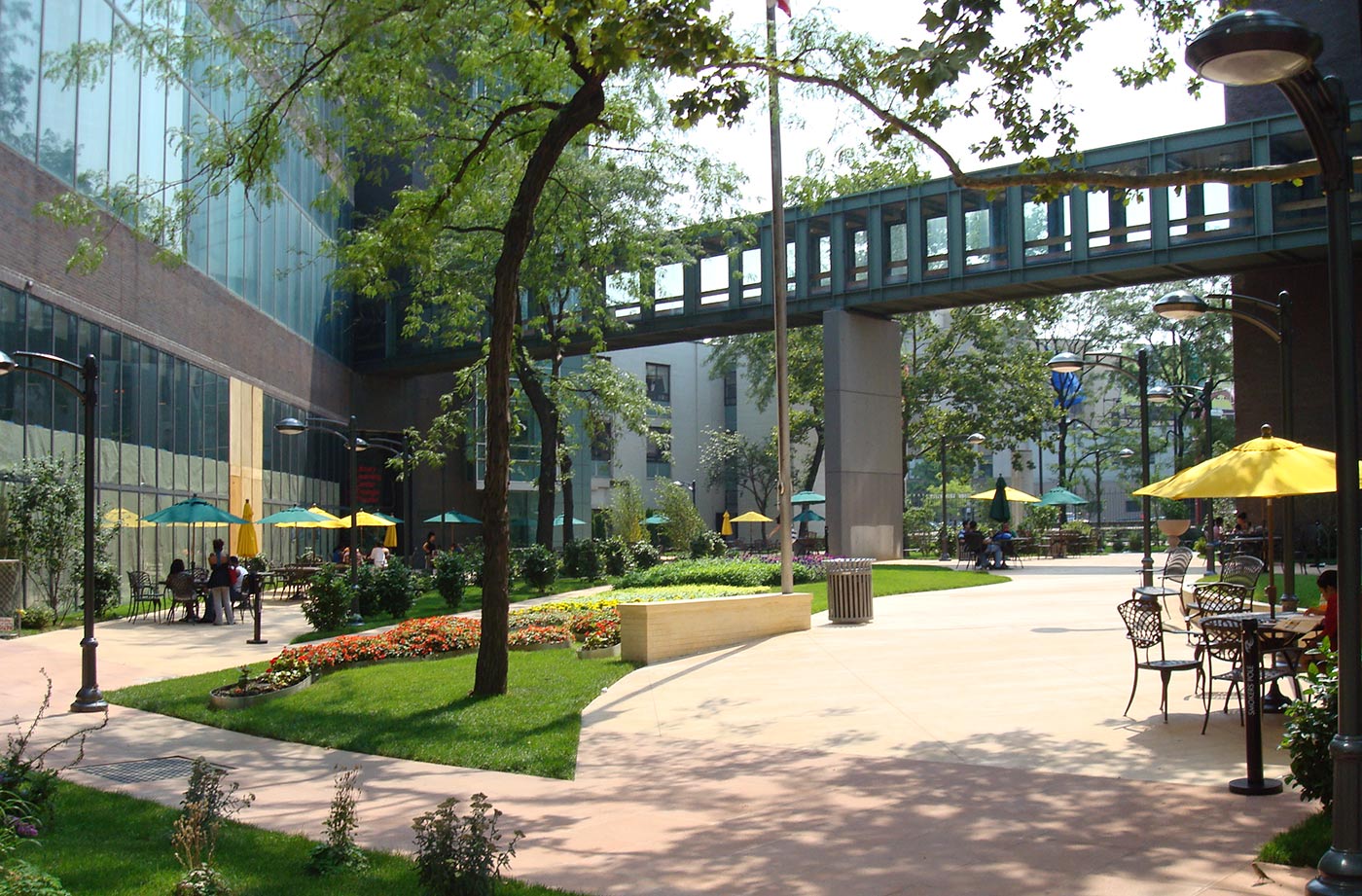 Long Island University Brooklyn Architectural Landscape On Earth Long Island University Brooklyn Architectural Landscape On Earth